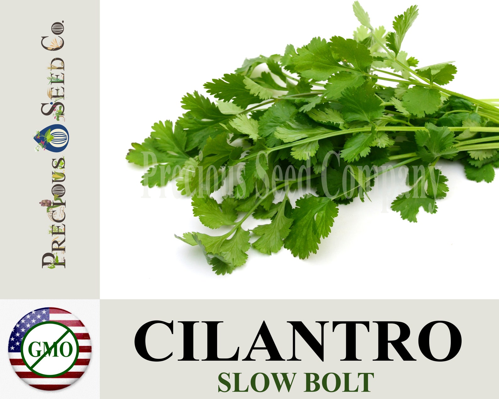 Heirloom Cilantro Seeds - Slow Bolt (non-gmo) - Etsy