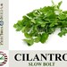Heirloom Cilantro Seeds - Slow Bolt (non-gmo) - Etsy