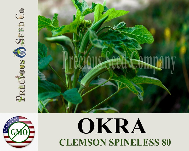 Heirloom Okra Seeds - Clemson Spineless (non-gmo) - Etsy