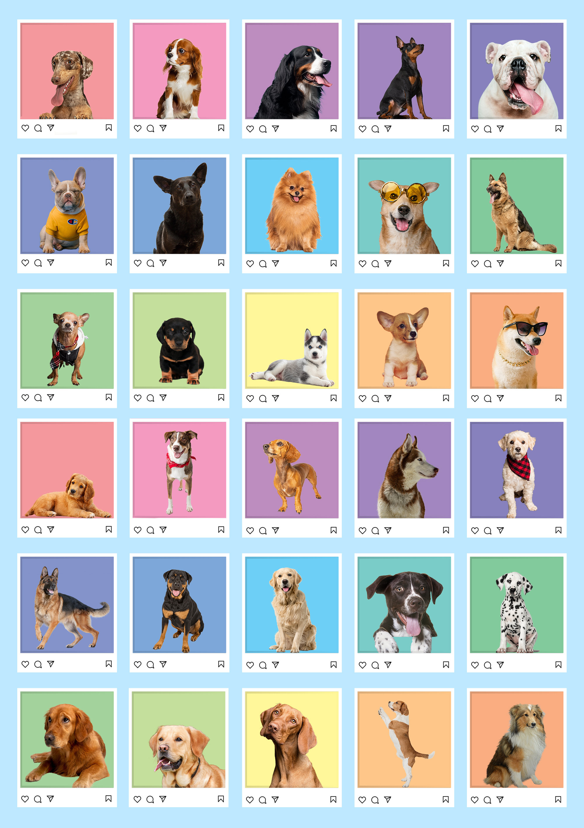 Dogs PNG Bundle - Dog Png Pack - Puppy Png - Animal Png - Pet Png - Etsy