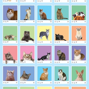 Cats PNG Clipart Bundle: 30 Pet Graphics (digital Download) - Etsy