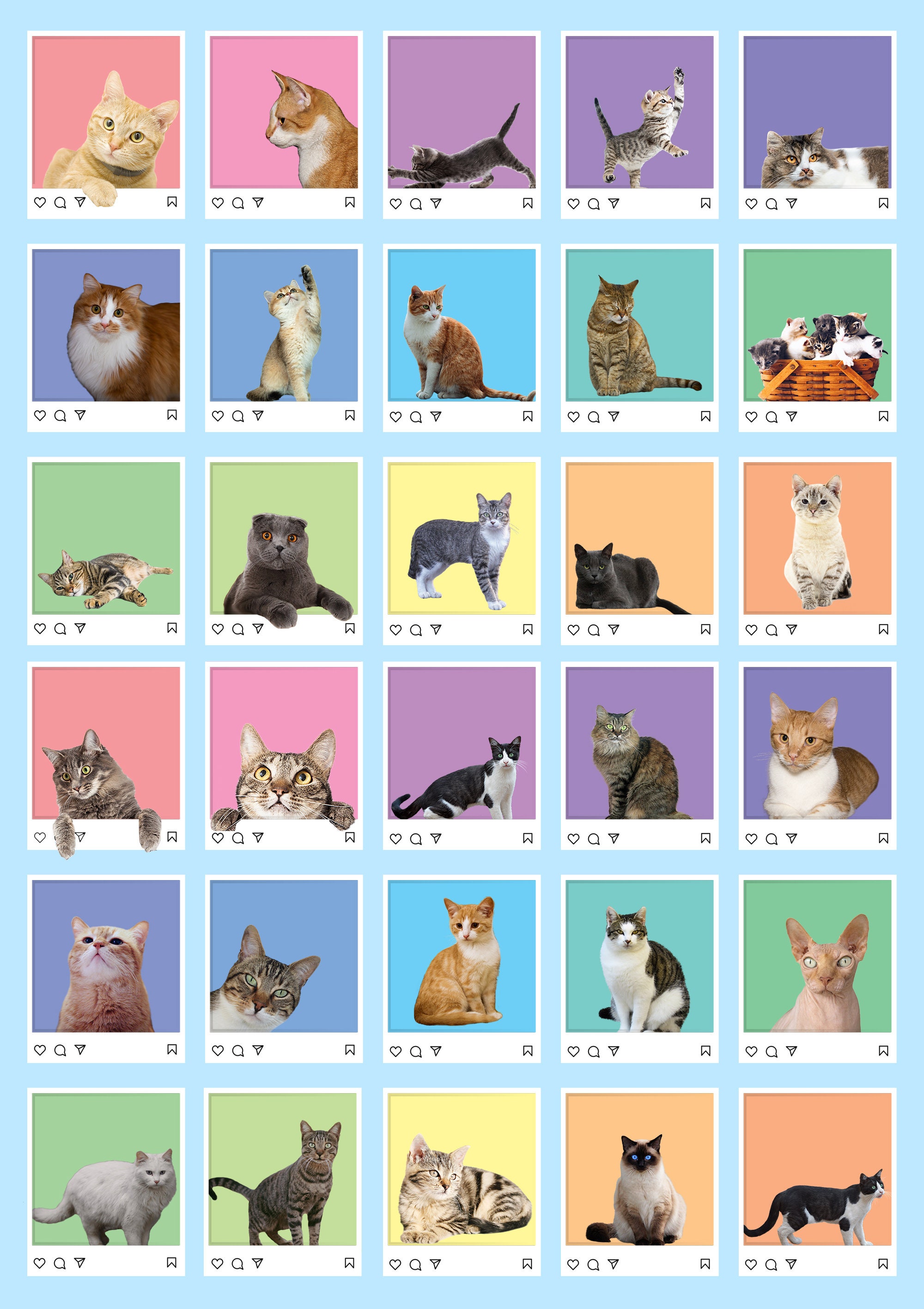 Cats PNG Bundle - Cats Png Pack - Cats Png - Animal Png - Pet Png - Etsy