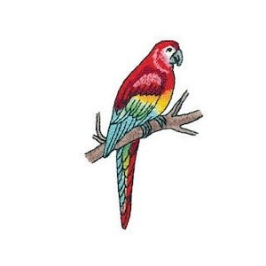 Parrot - Machine Embroidery Design - Etsy