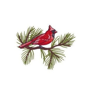 Cardinal - Machine Embroidery Design - Etsy