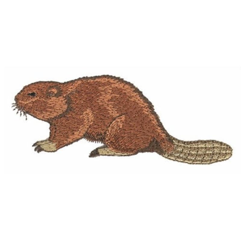 Beaver Embroidery File - Etsy