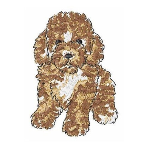 Toy Poodle Machine Embroidery Design - Etsy