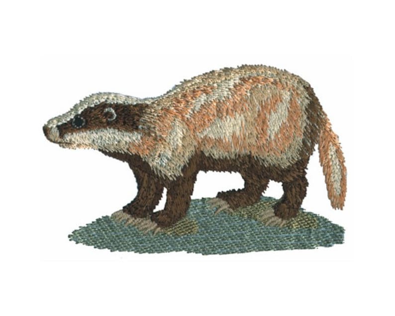 Badger Machine Embroidery Design - Etsy