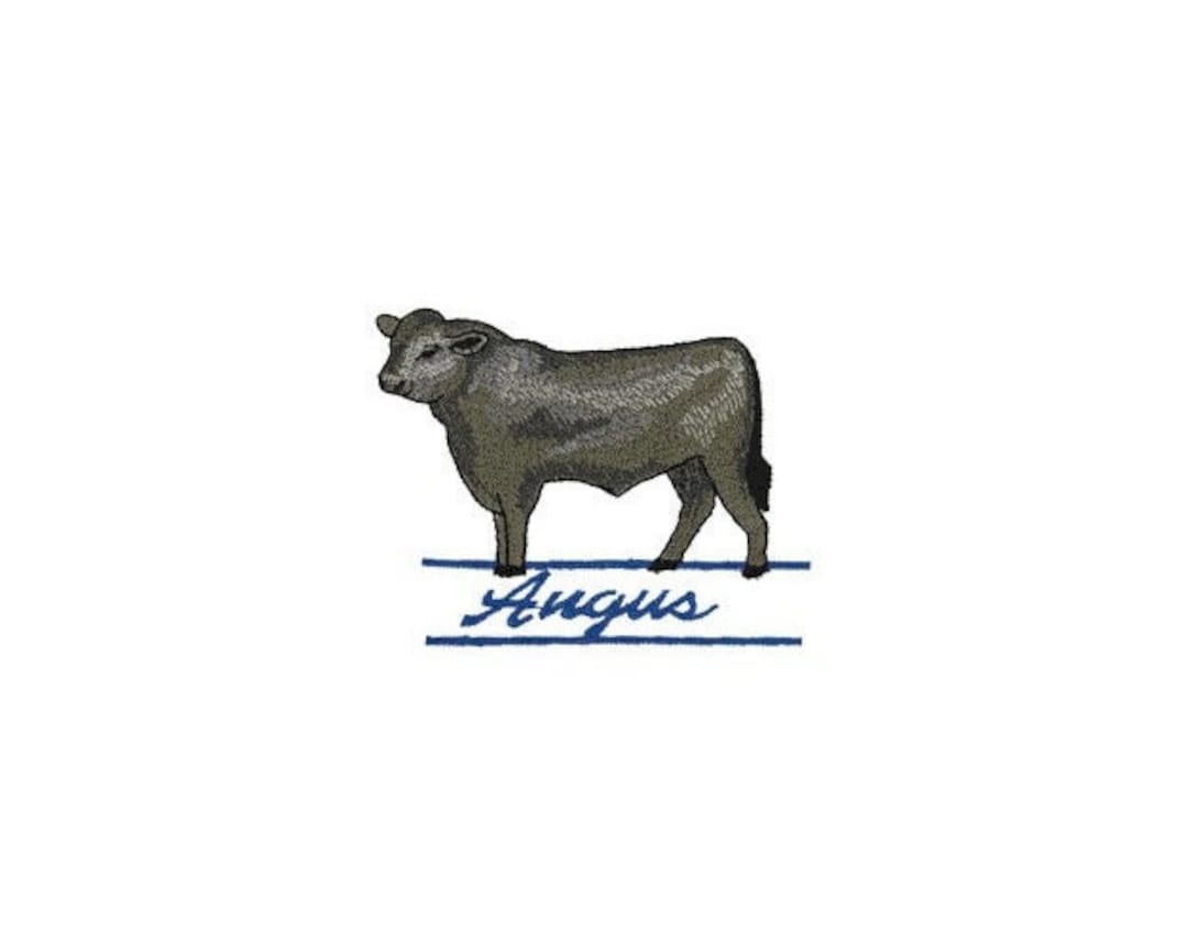 Angus Bull - Machine Embroidery Design - Etsy
