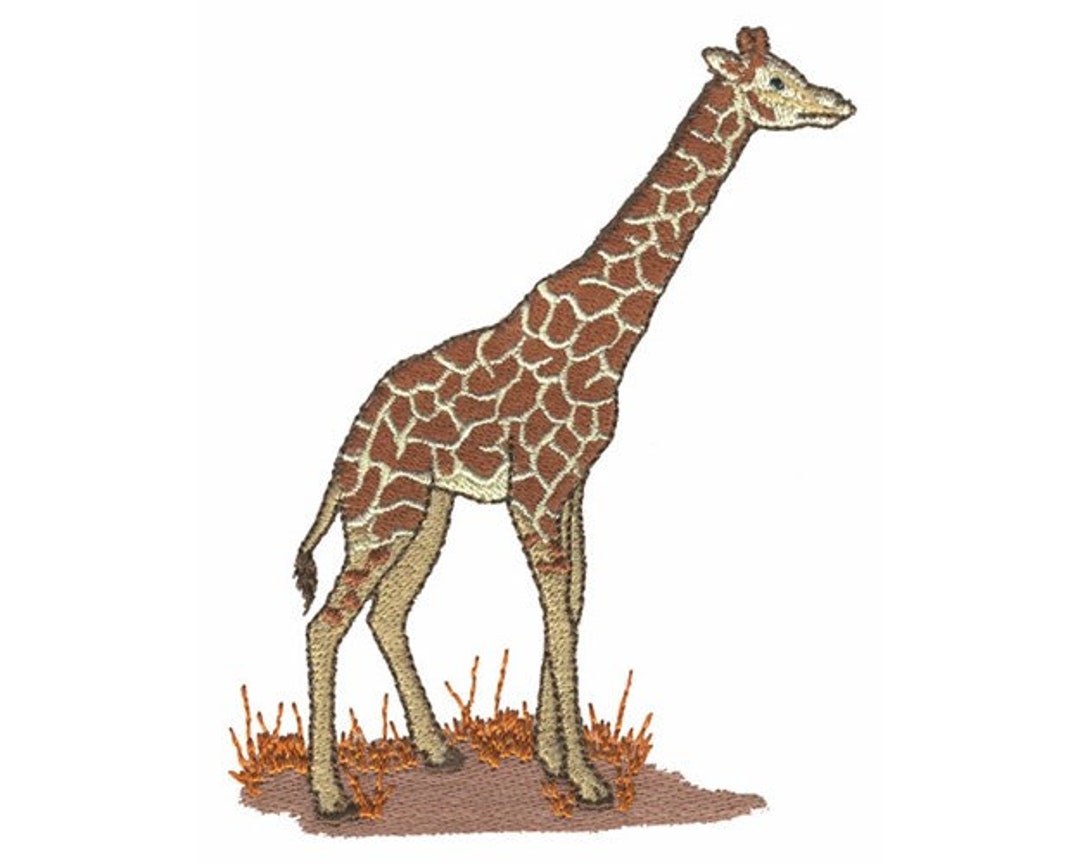 Giraffe - Machine Embroidery Design - Etsy