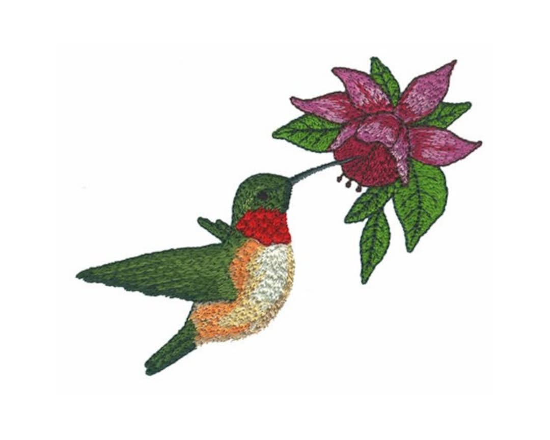 Hummingbird - Machine Embroidery Design - Etsy
