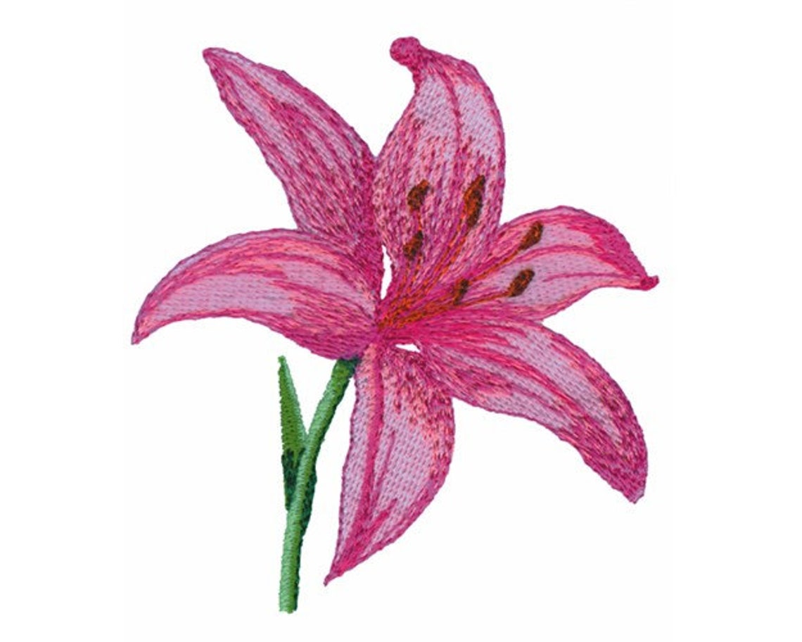 Lily - Machine Embroidery Design - Etsy