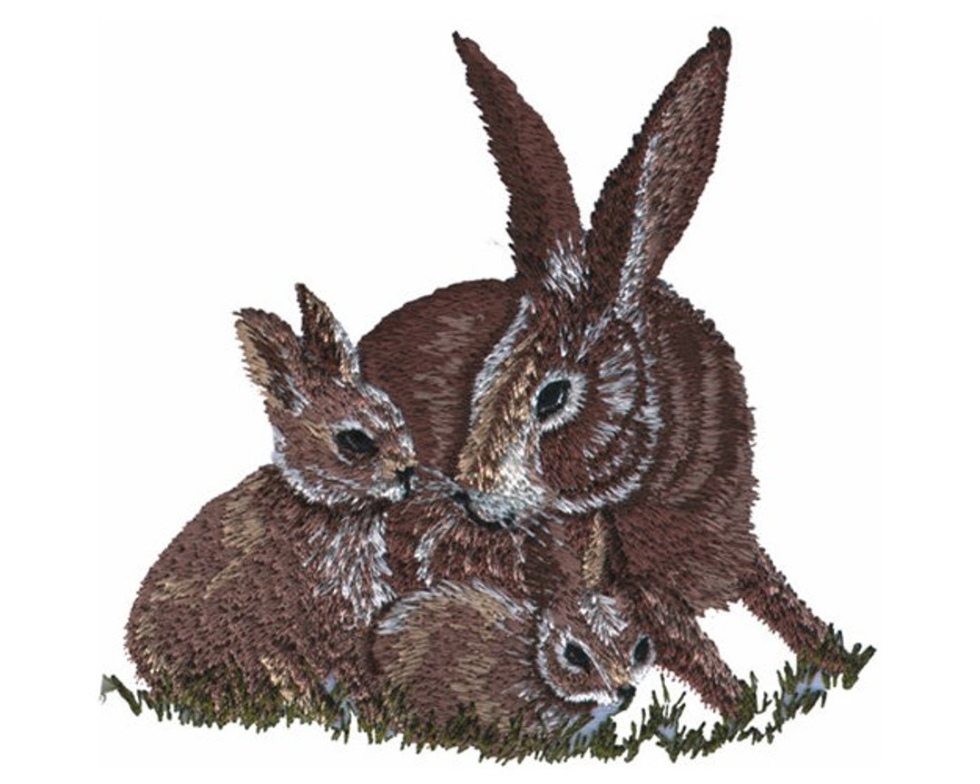 Leverets Hare - Machine Embroidery Design - Etsy