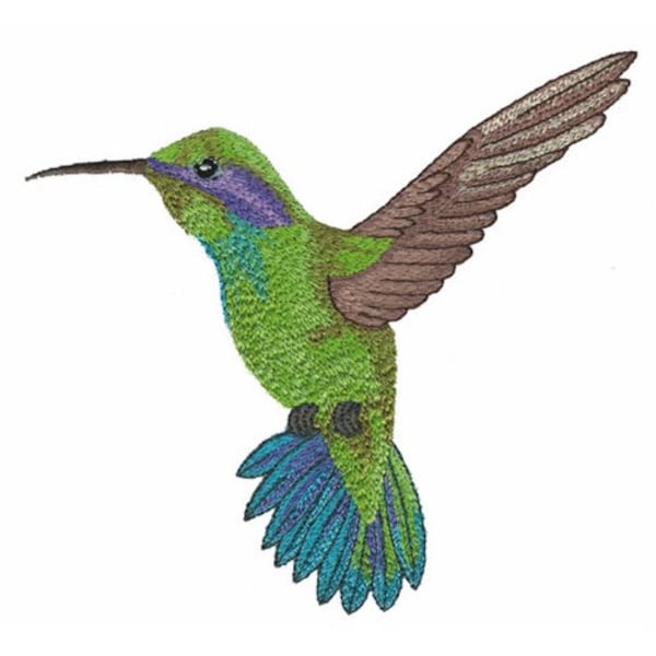 Hummingbird Design - Etsy