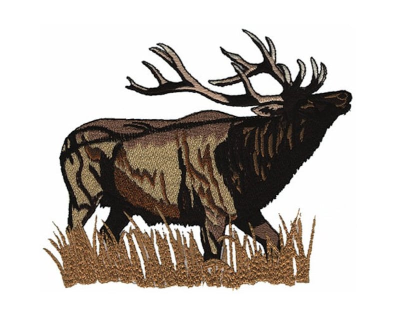 Bull Elk Machine Embroidery Design - Etsy