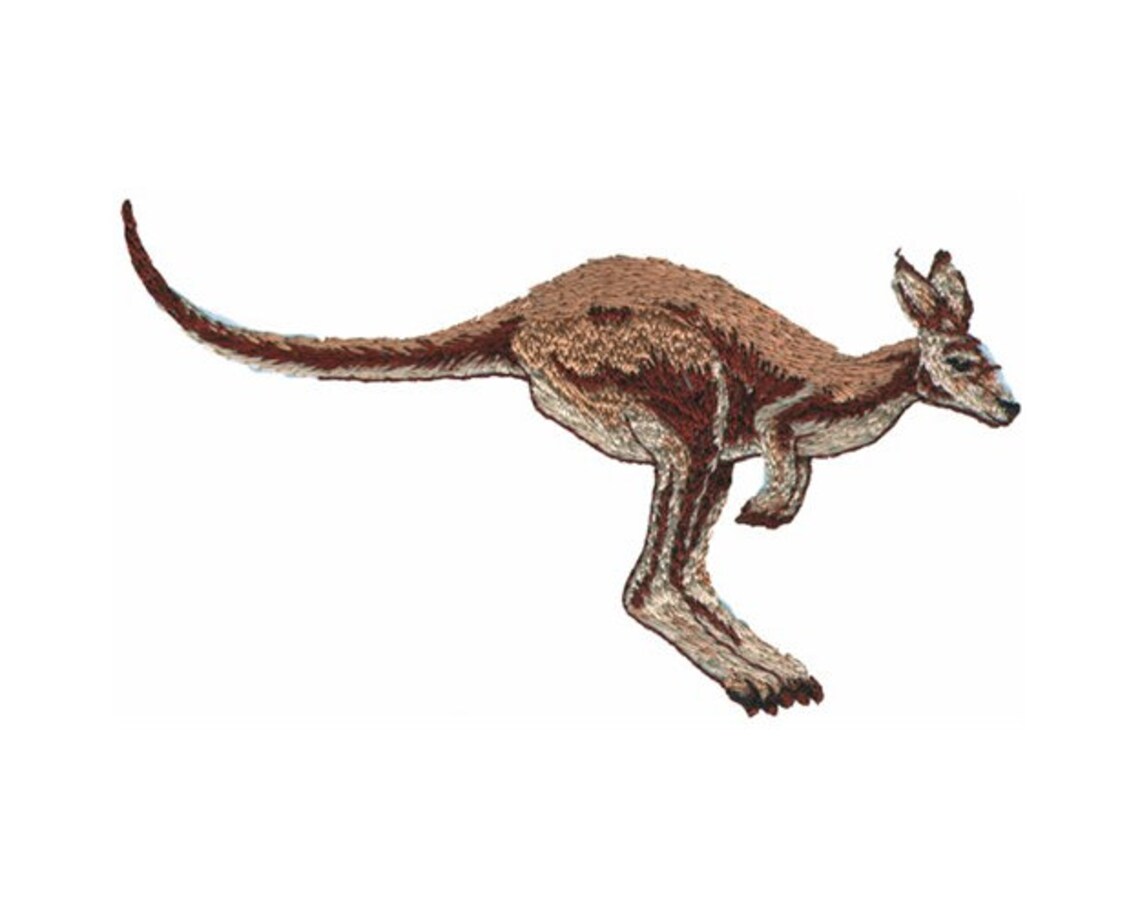 Kangaroo Machine Embroidery Design - Etsy