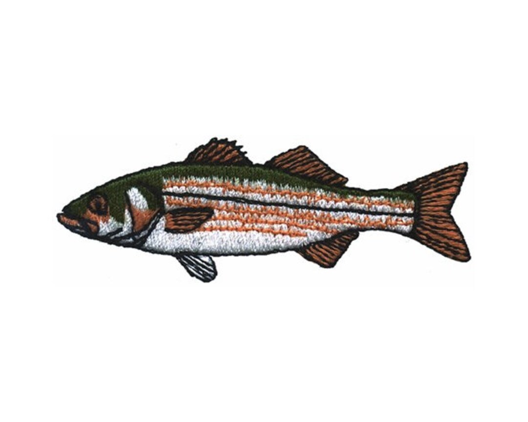Striped Bass - Machine Embroidery Design - Etsy