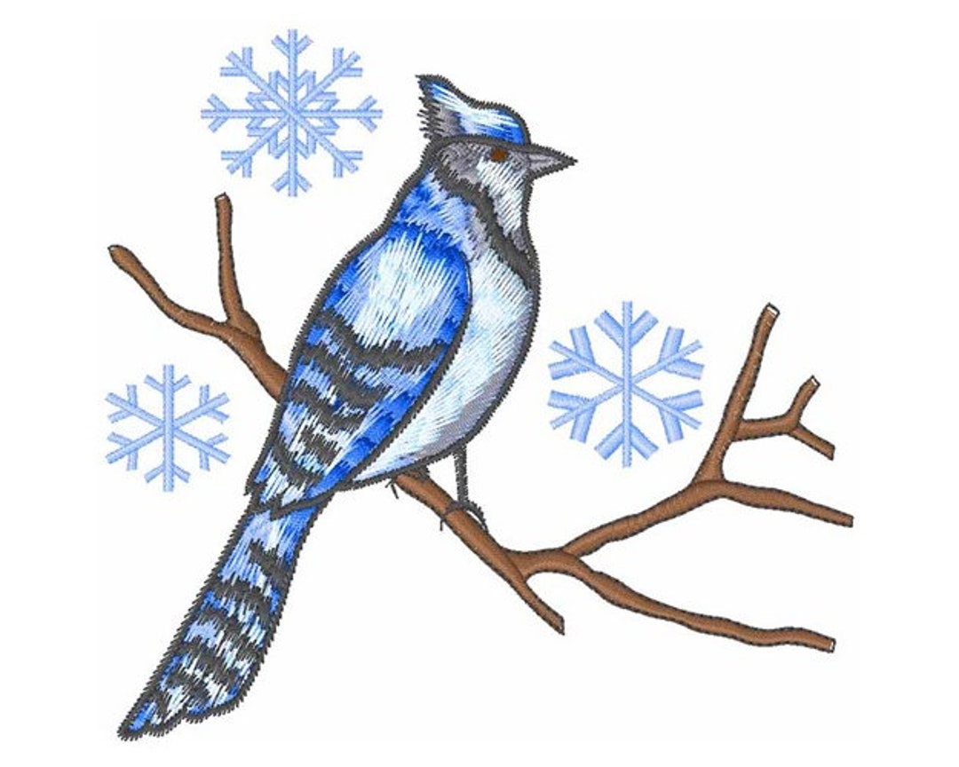 Winter Blue Jay Machine Embroidery Design - Etsy