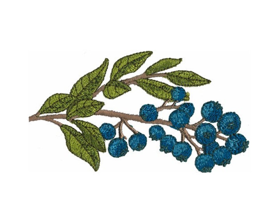 Blueberries - Machine Embroidery Design - Etsy