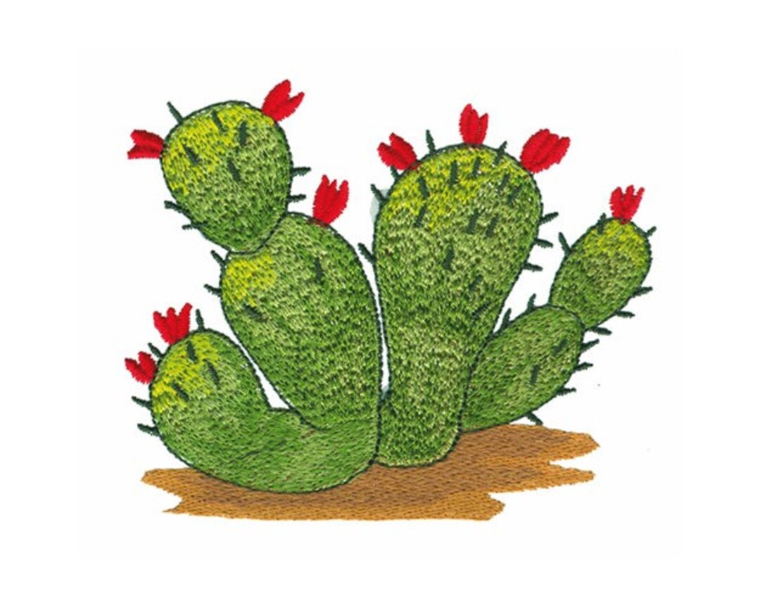 Cactus - Machine Embroidery Design - Etsy