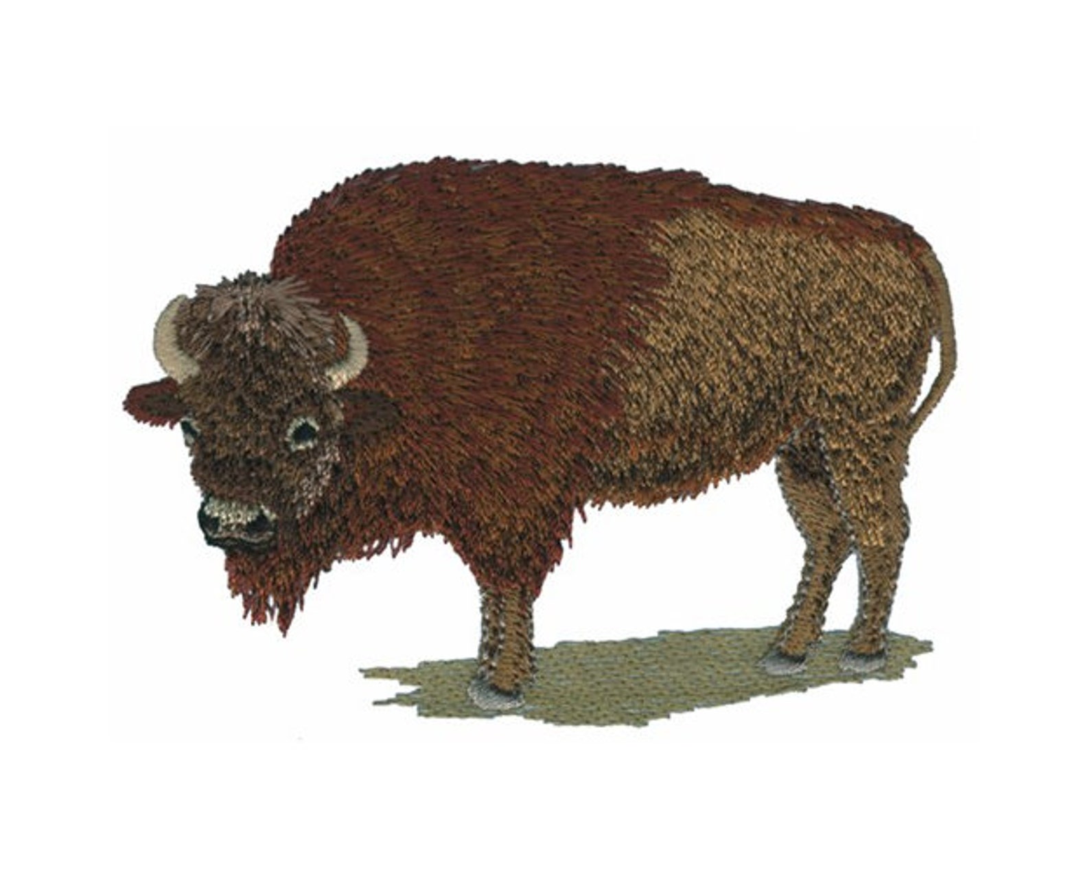 Buffalo Machine Embroidery Design - Etsy