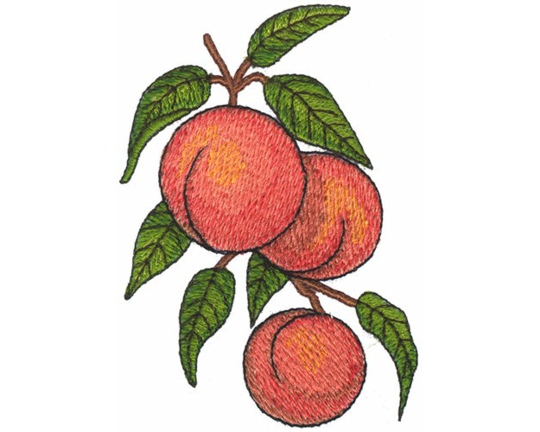 Peaches on A Stem - Machine Embroidery Design - Etsy