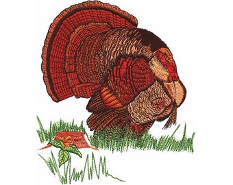 Wild Turkey Embroidery - Etsy