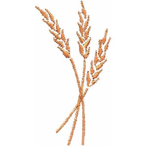 Wheat - Machine Embroidery Design - Etsy