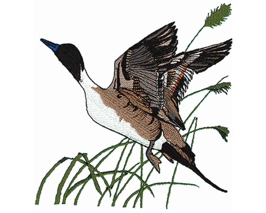 Flying Pintail Duck - Machine Embroidery Design - Etsy