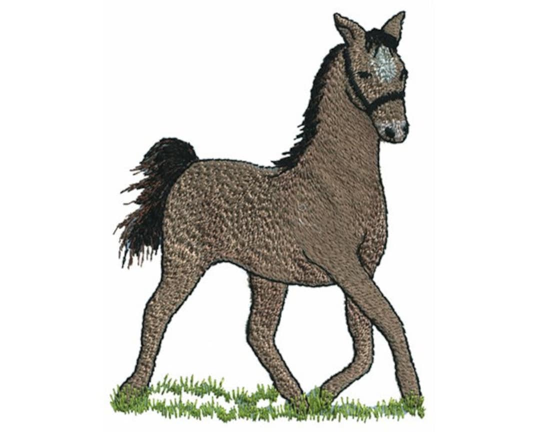 Horse Machine Embroidery Design - Etsy