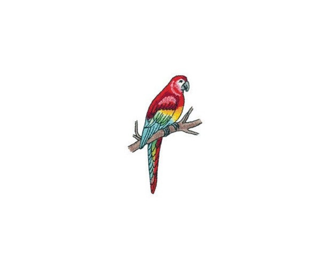 Parrot - Machine Embroidery Design - Etsy