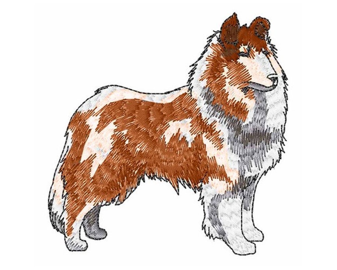 Rough Collie Machine Embroidery Design - Etsy
