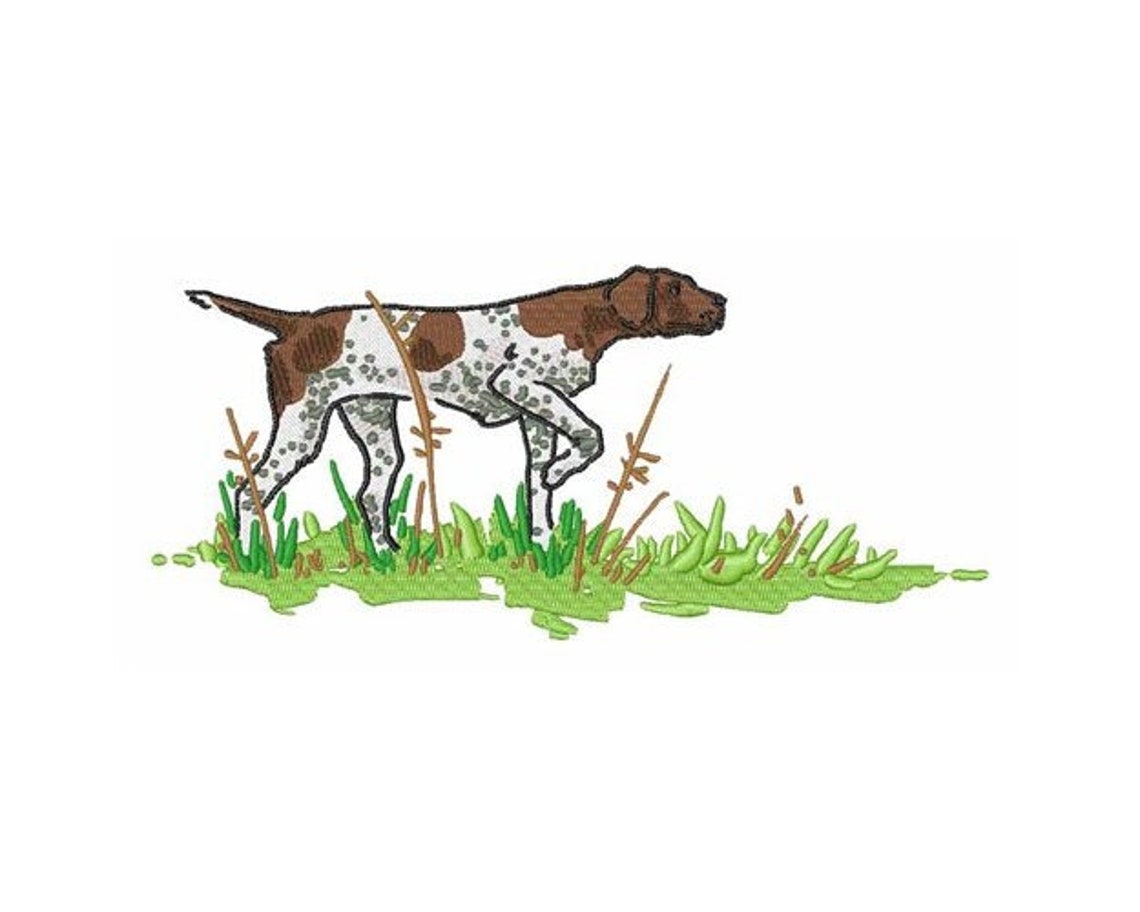 Gsp Bird Dog - Machine Embroidery Design - Etsy