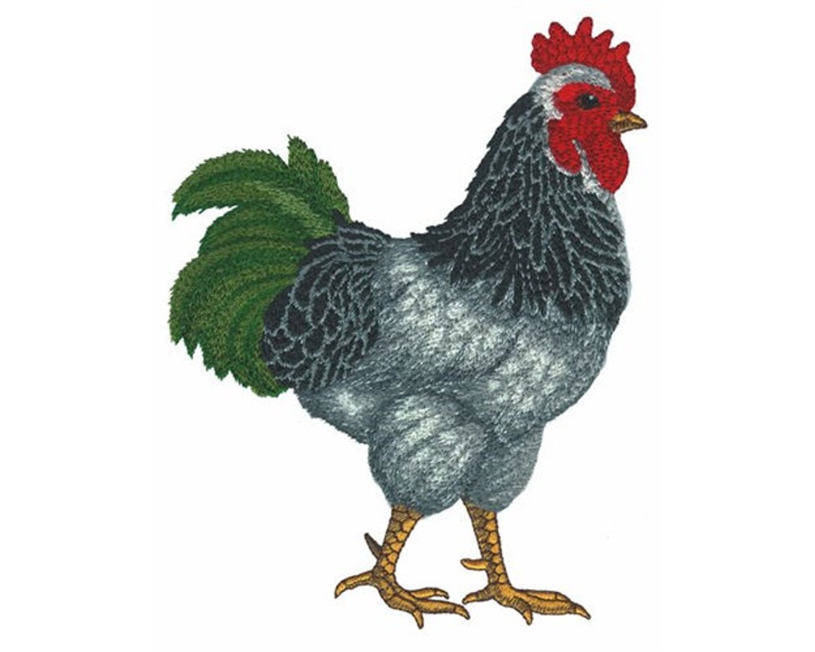 Rooster Machine Embroidery Design - Etsy