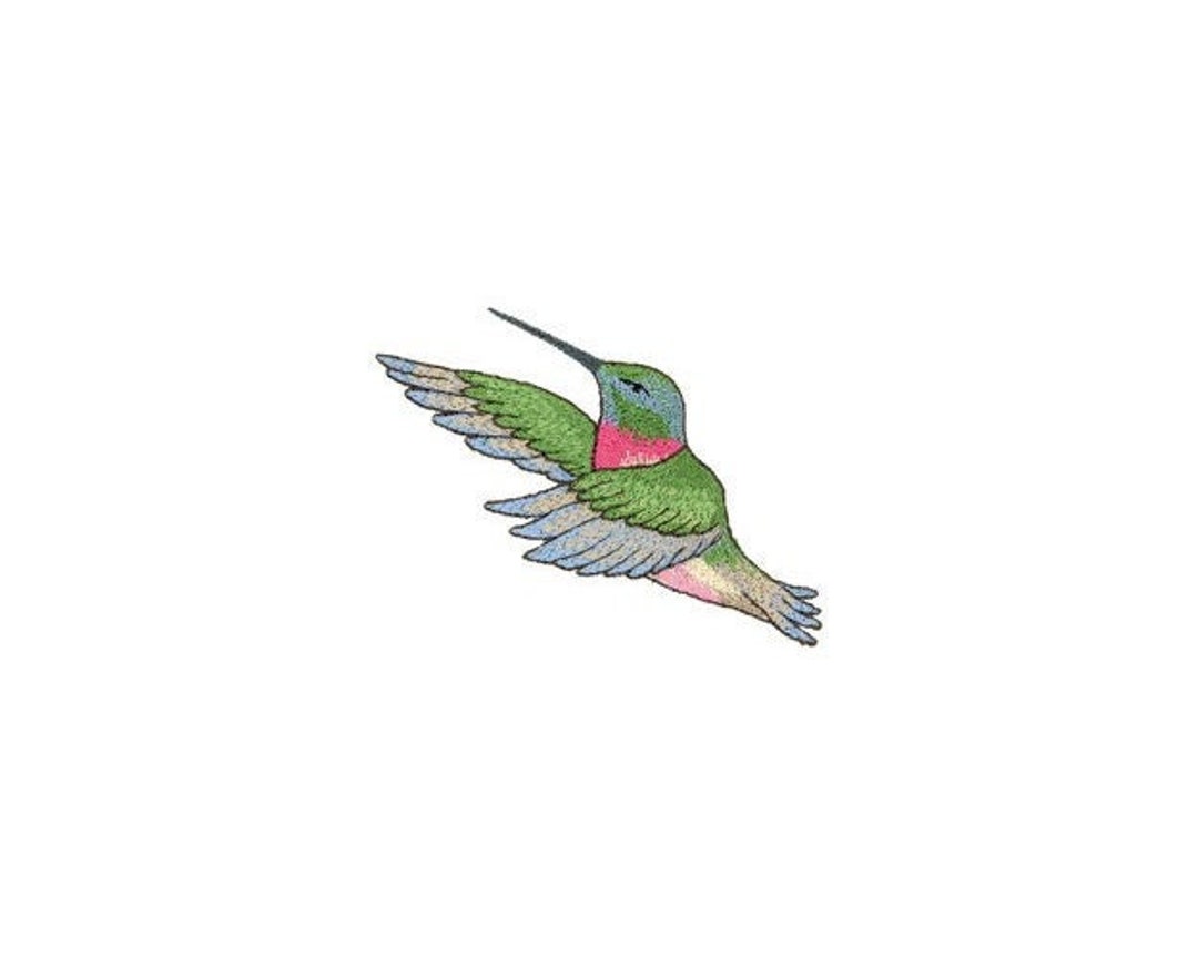 Hummingbird Machine Embroidery Design - Etsy