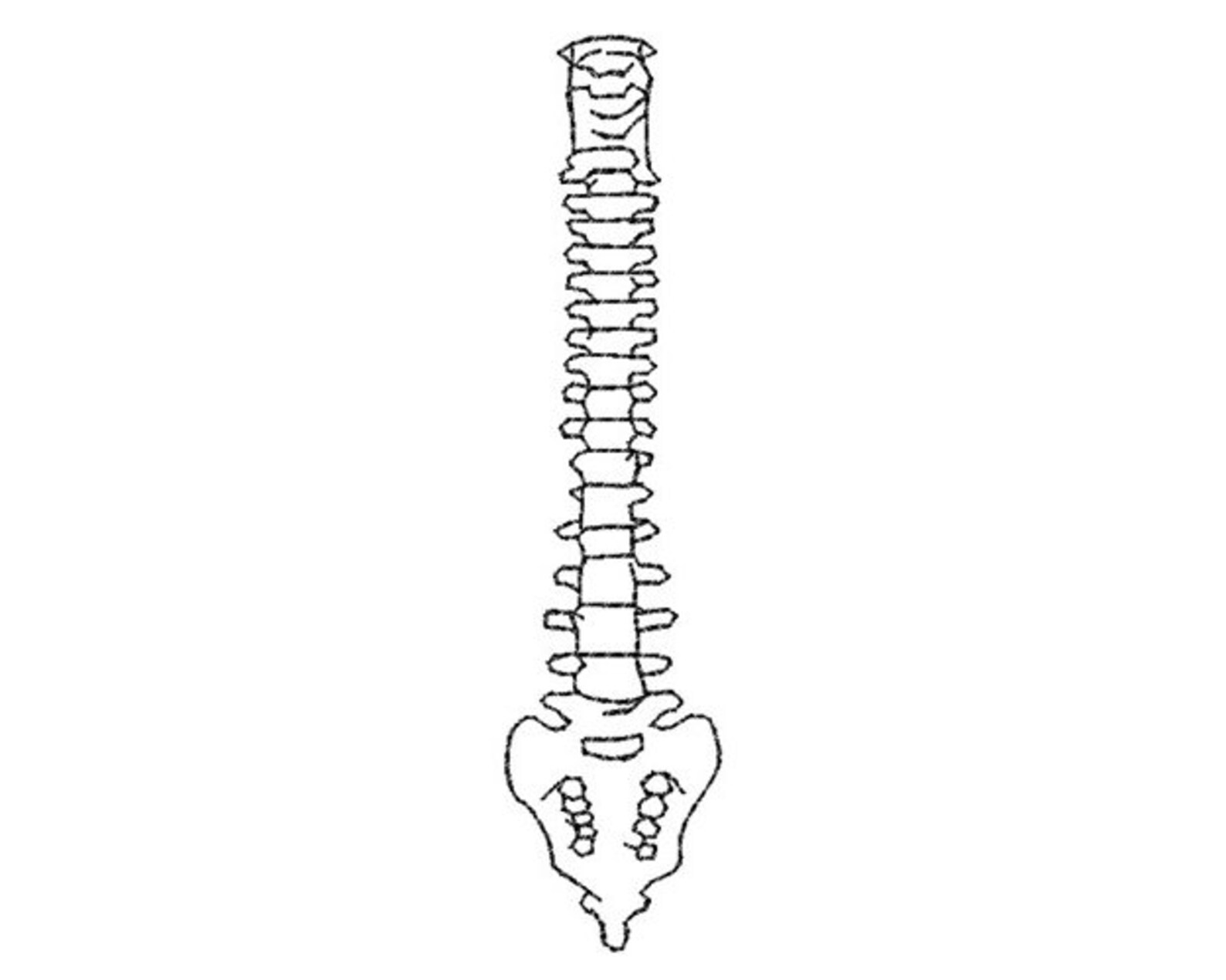 One Color Spine Machine Embroidery Design - Etsy