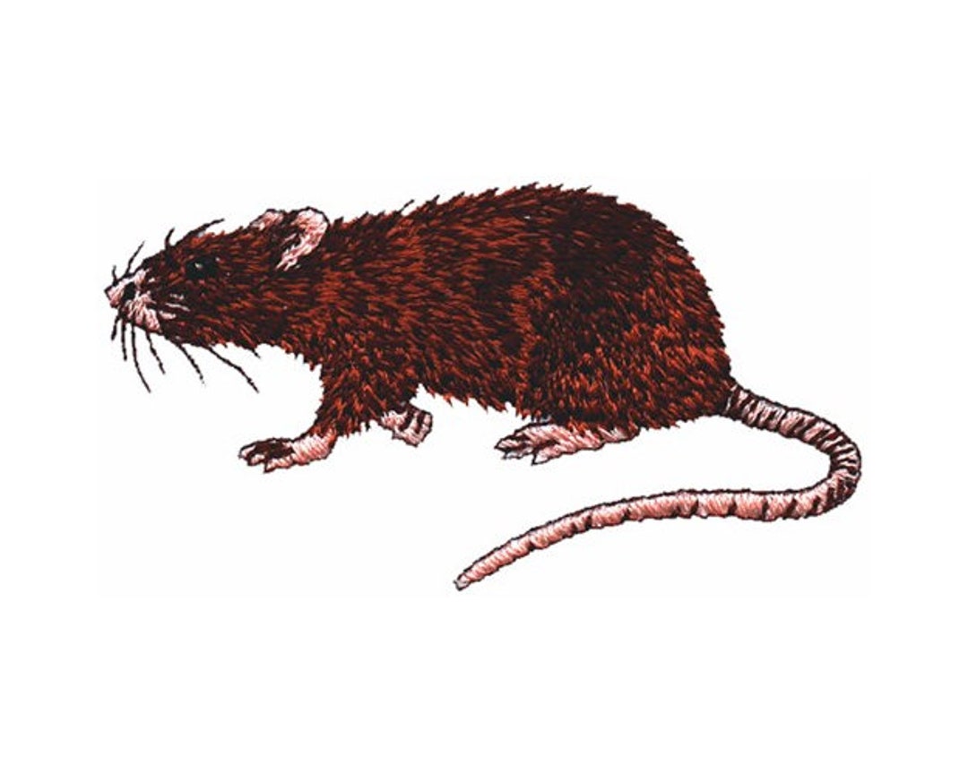 Rat - Machine Embroidery Design - Etsy