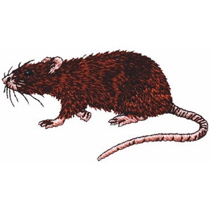 Rat - Machine Embroidery Design - Etsy