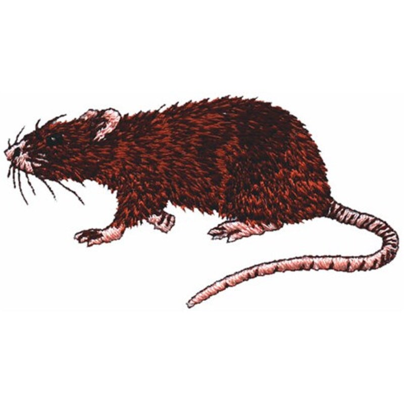 Rat Embroidery - Etsy