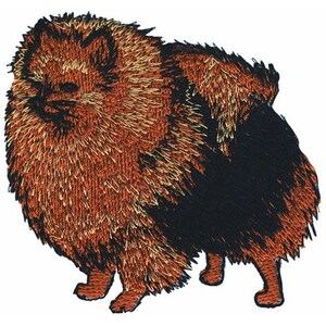 Pomeranian Machine Embroidery Design - Etsy