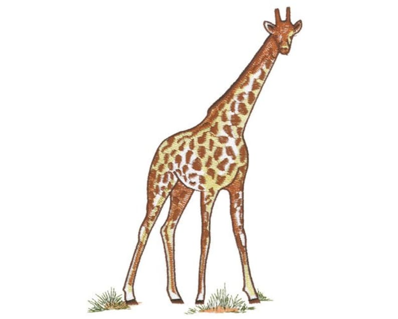 Giraffe - Machine Embroidery Design - Etsy