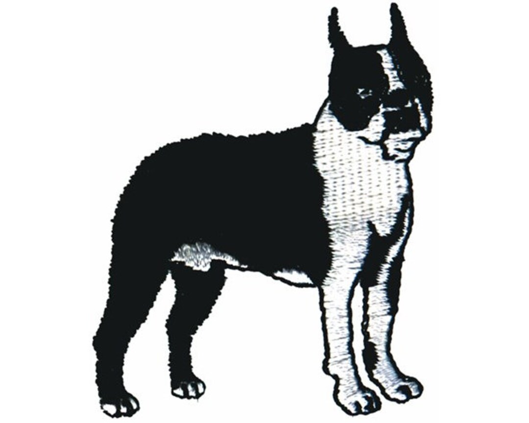 Boston Terrier - Machine Embroidery Design - Etsy