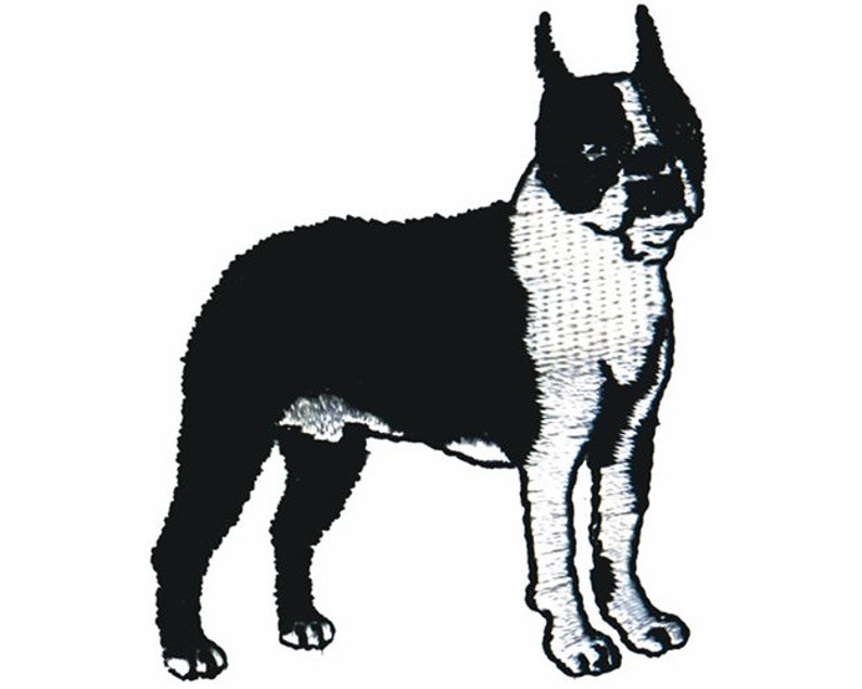 Boston Terrier - Machine Embroidery Design - Etsy
