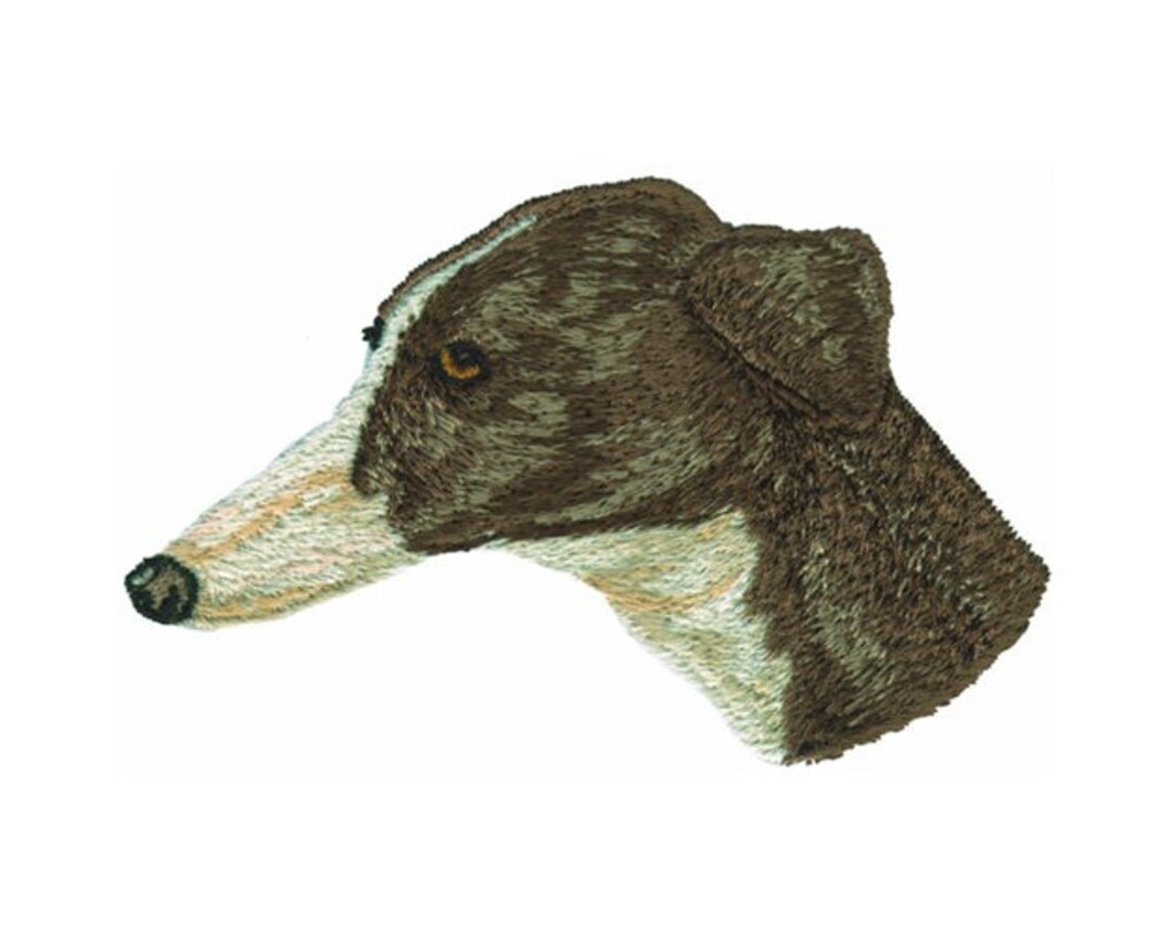 Greyhound Machine Embroidery Design - Etsy