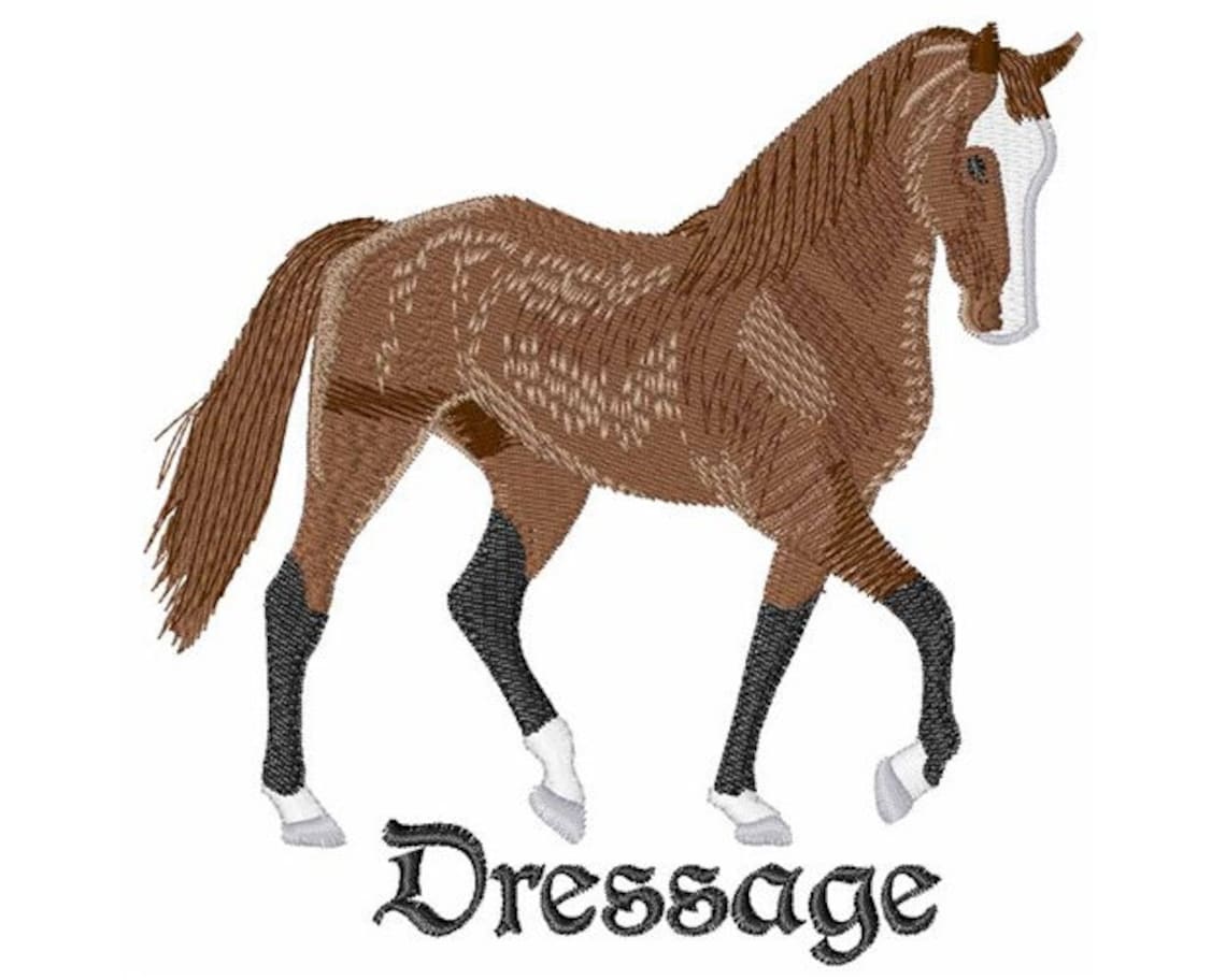 Dressage Horse Machine Embroidery Design - Etsy