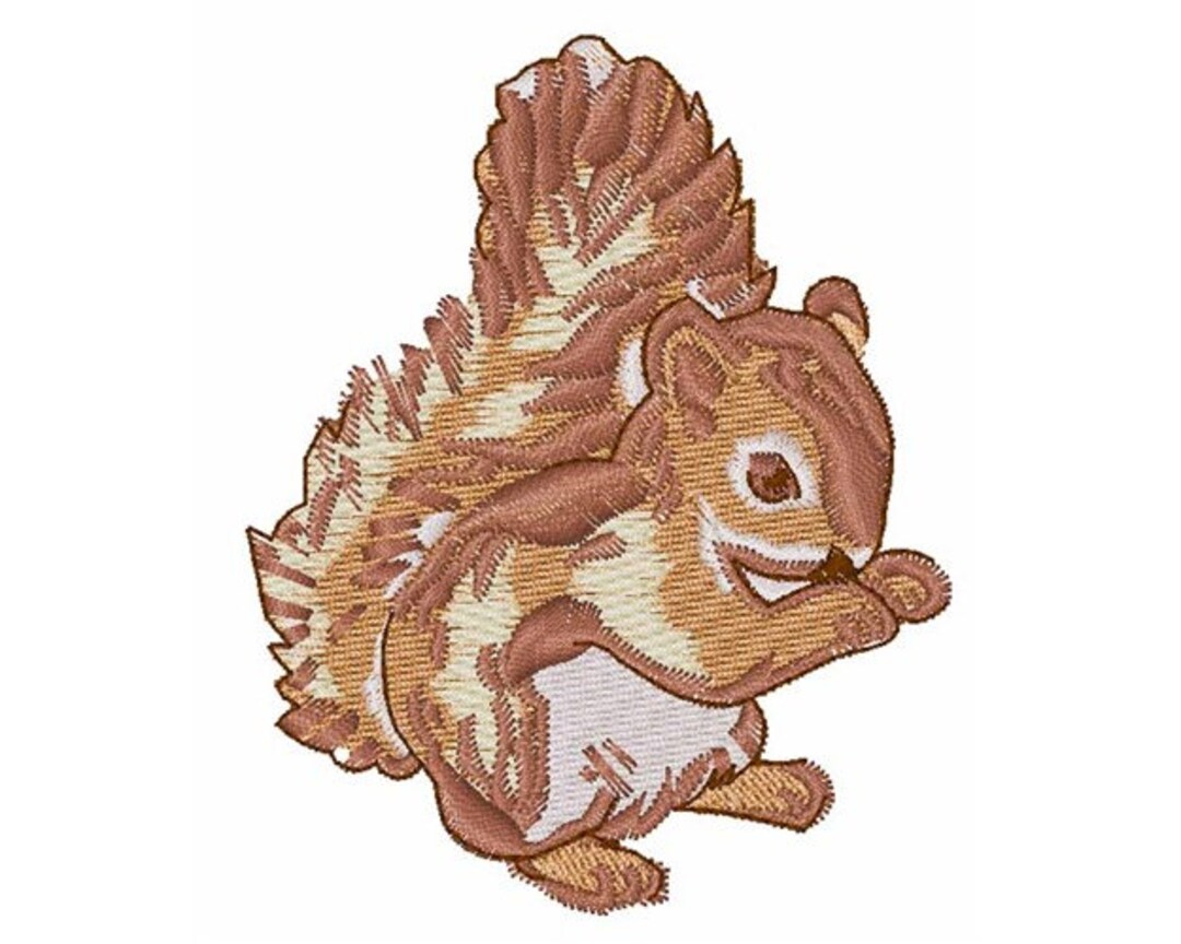 Cute Squirrel - Machine Embroidery Design - Etsy