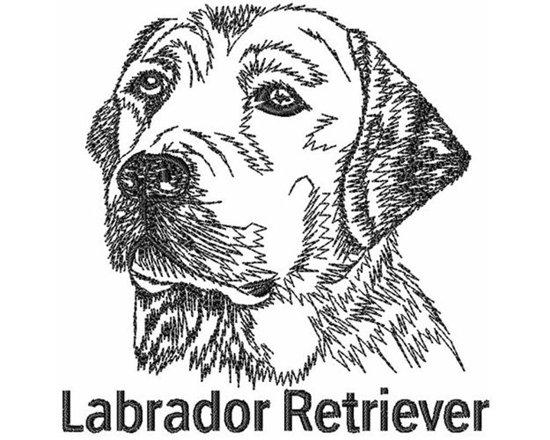 Labrador Retriever Machine Embroidery Design - Etsy