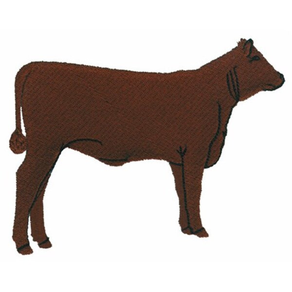 Angus Bull Embroidery Design - Etsy