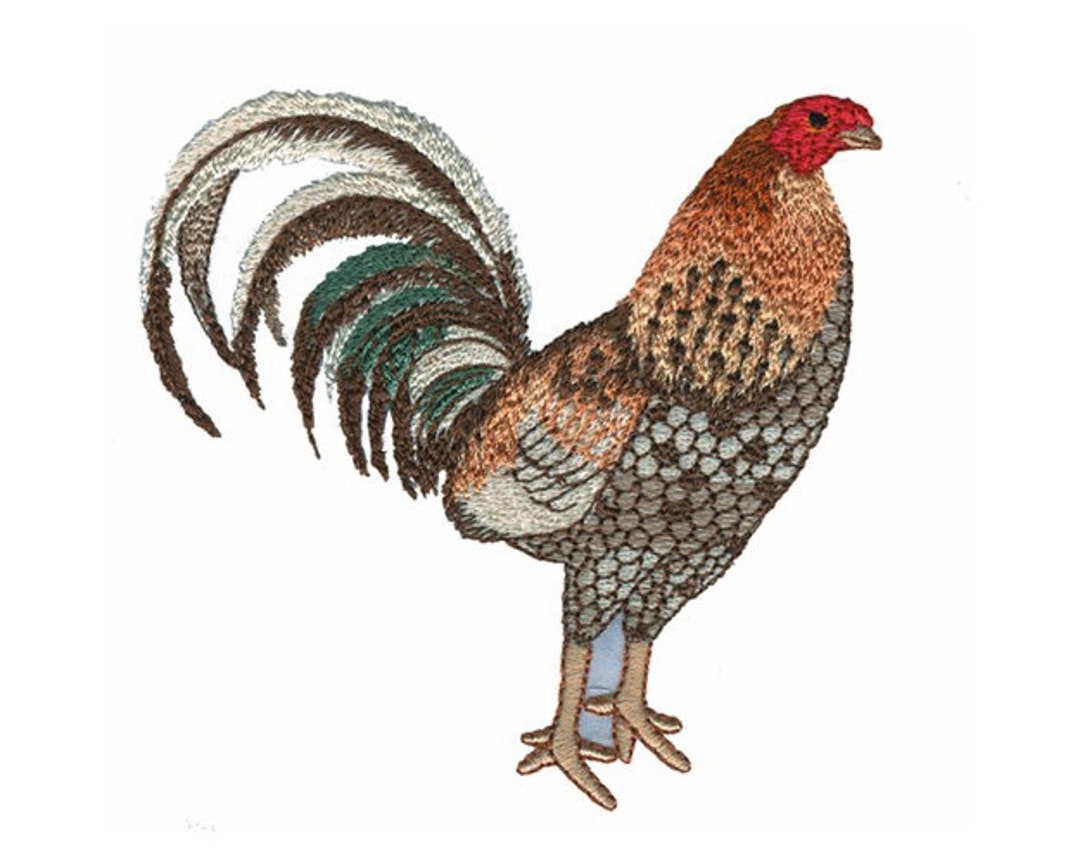 Light Brahmas - Machine Embroidery Design - Etsy