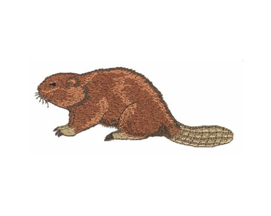 Beaver - Machine Embroidery Design - Etsy