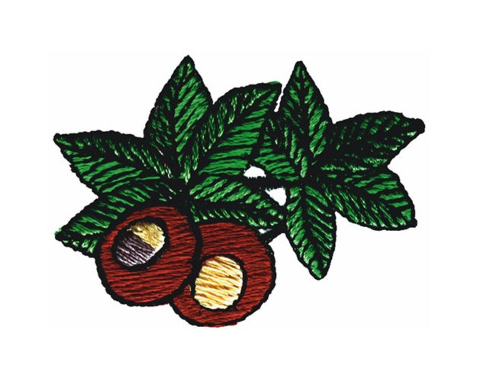 Buckeye - Machine Embroidery Design - Etsy
